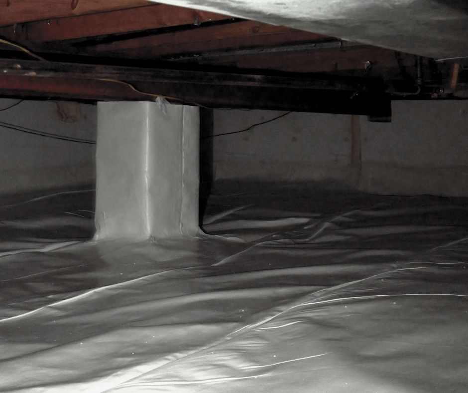 Does Moisture Attract Pests? - Summit Waterproofing Blogs