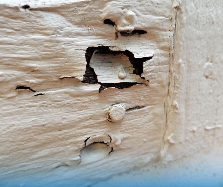 How To Identify and Prevent Dry Rot - Summit Waterproofing